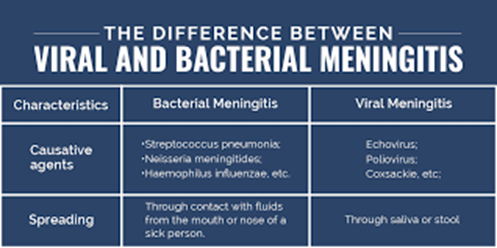 Viral Meningitis | NIAS
