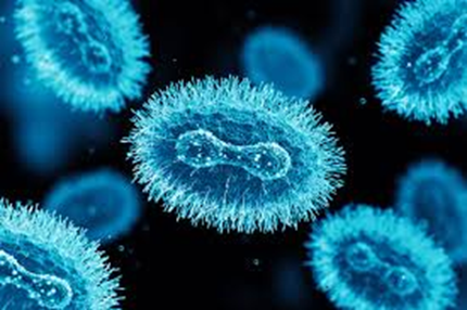 Mpox (previously known as Monkeypox) | NIAS